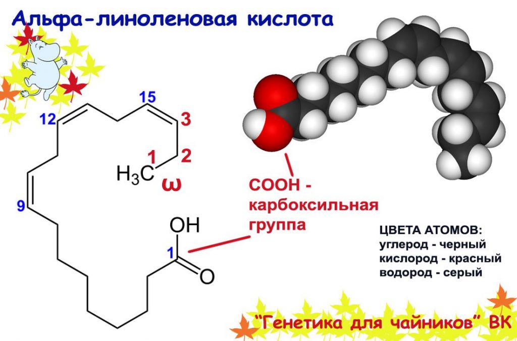 Жирные кислоты насыщенные ненасыщенные Селекция привлекательных